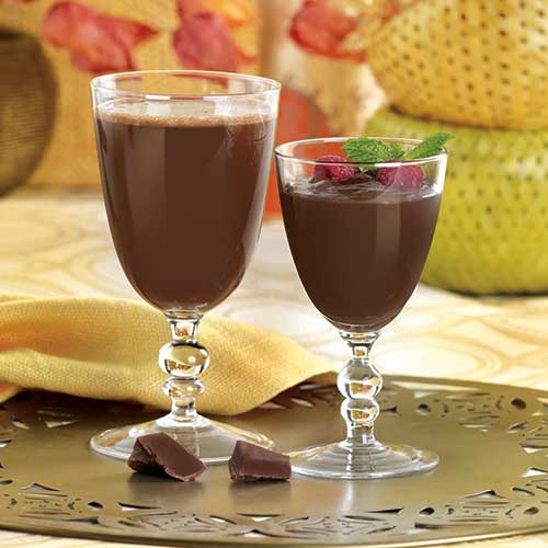 Double Chocolate Protein Pudding – Healthogenics
